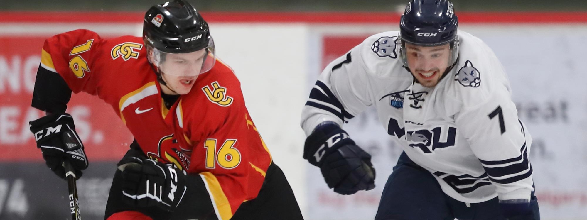 Matt Alfaro - 2020-21 - Men's Hockey - University of Calgary Athletics