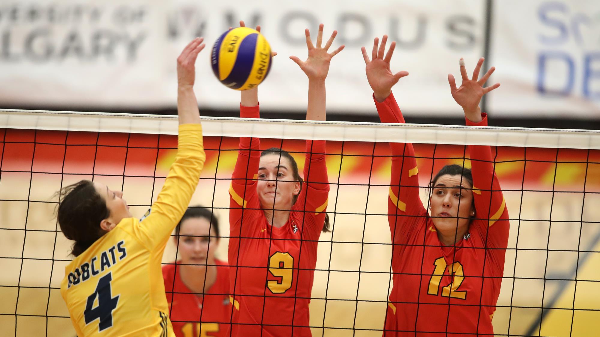 Lexi Peart - 2020-21 - Women's Volleyball - University of Calgary Athletics