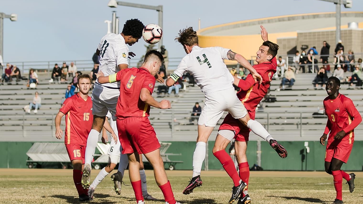 Undefeated eight for the Dinos - University of Calgary Athletics