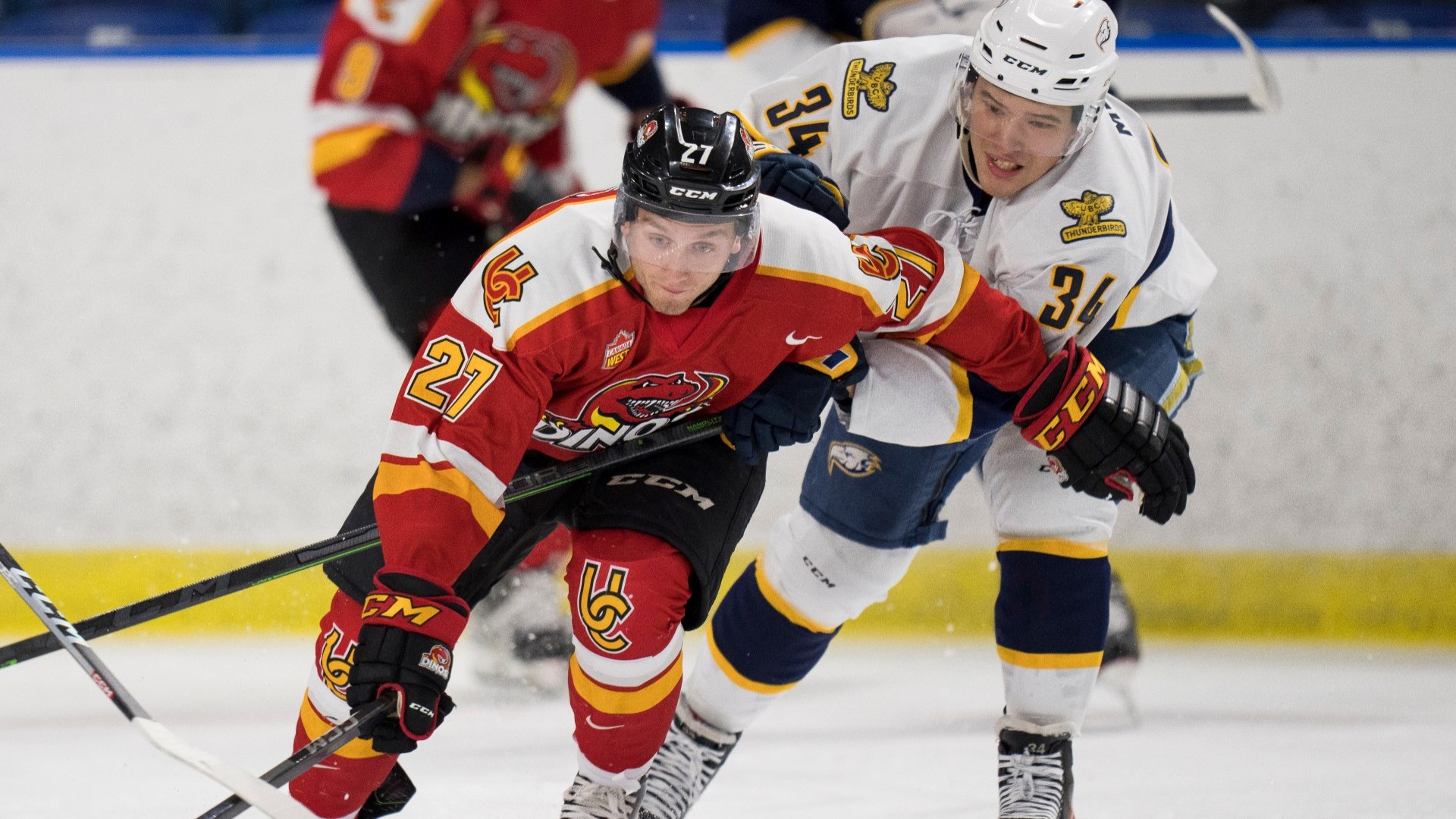 Three third period goals power ‘Birds past Dinos - University of ...
