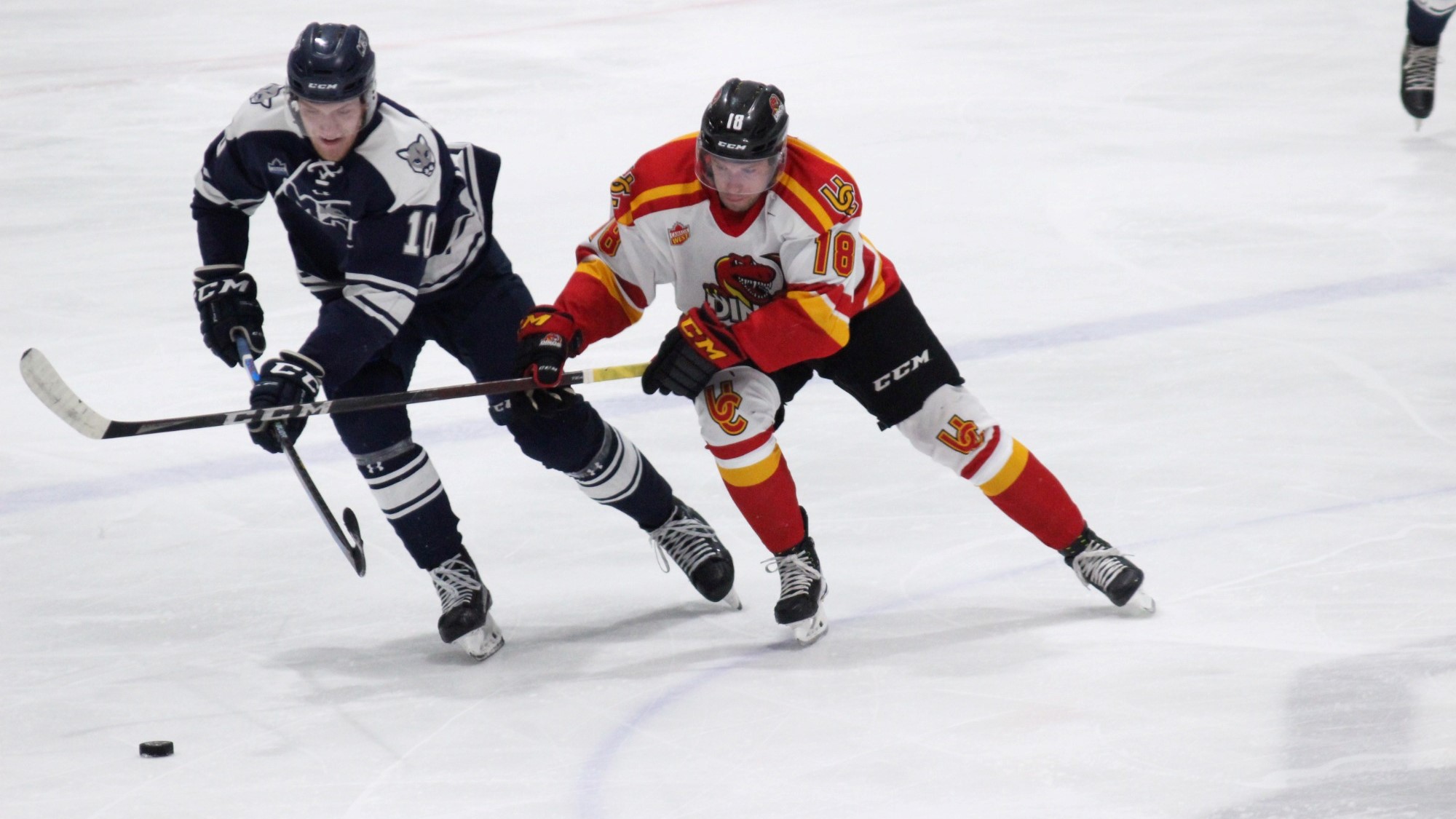 Gricius scores twice in Dinos loss - University of Calgary Athletics