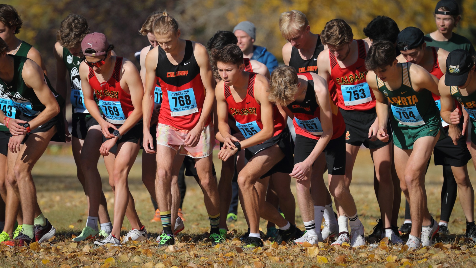 Joshua Bateman - 2022 - Cross Country - University of Calgary Athletics