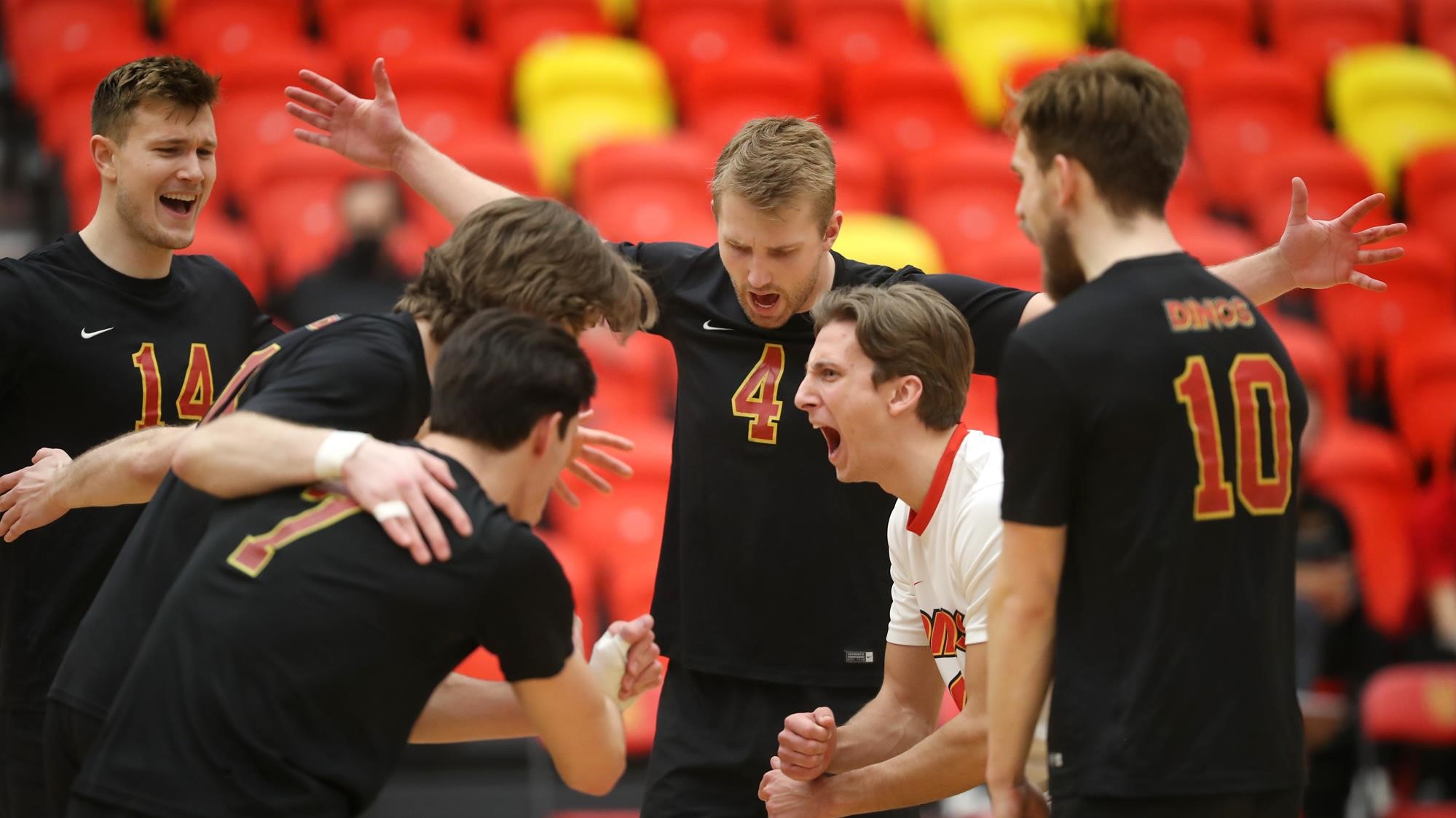 Austin Ellchuk - 2024 - Men's Volleyball - University of Calgary Athletics