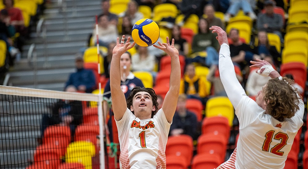 Dinos surge back into playoff picture with weekend sweep - University ...