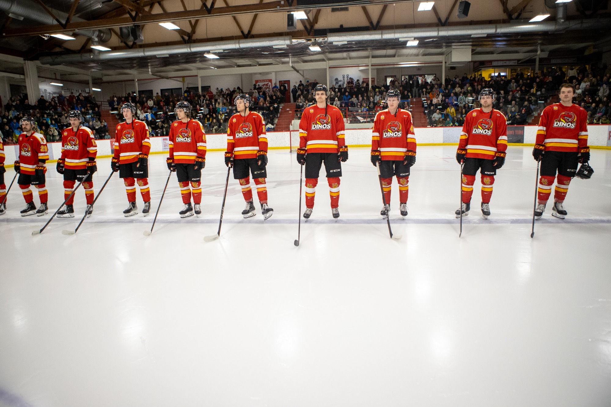 Dinos tie CW record with 17th consecutive win - University of Calgary ...