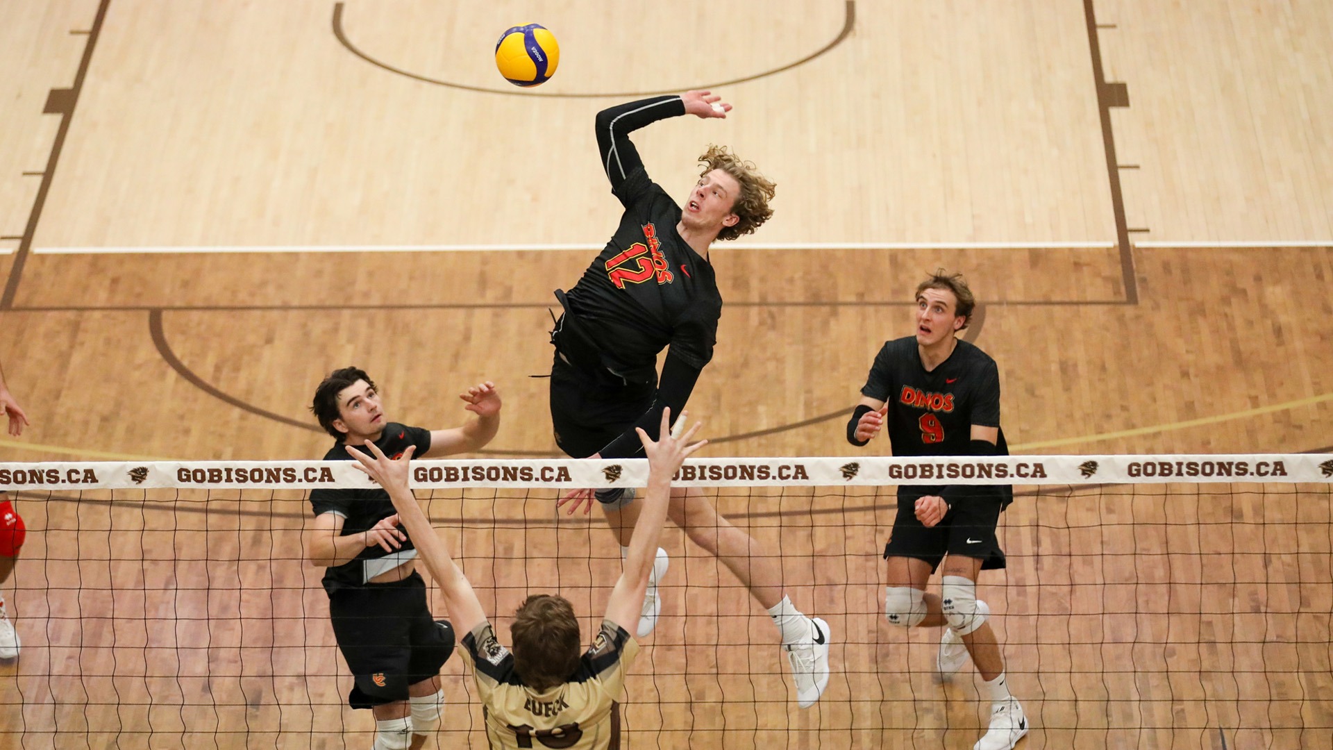 Jackson Meier - 2024 - Men's Volleyball - University of Calgary Athletics