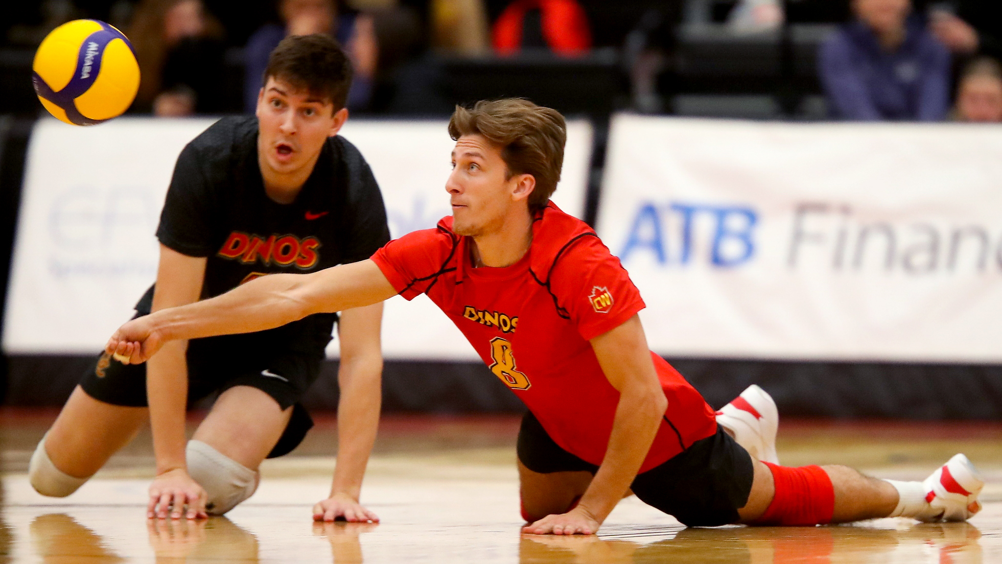 Dinos stumble against Cougars - University of Calgary Athletics