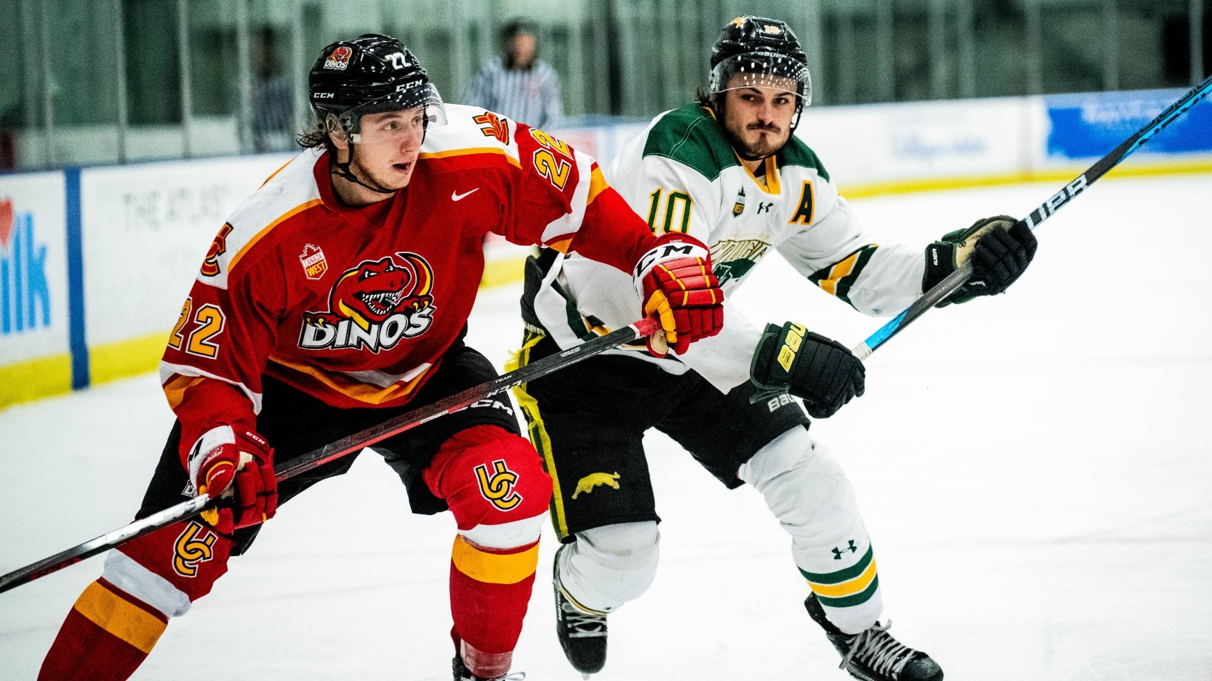 Dinos complete road sweep of Cougars - University of Calgary Athletics