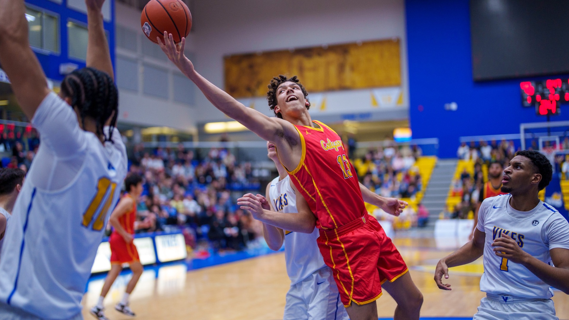 Matteo Kells - 2023-24 - Men's Basketball - University of Calgary Athletics