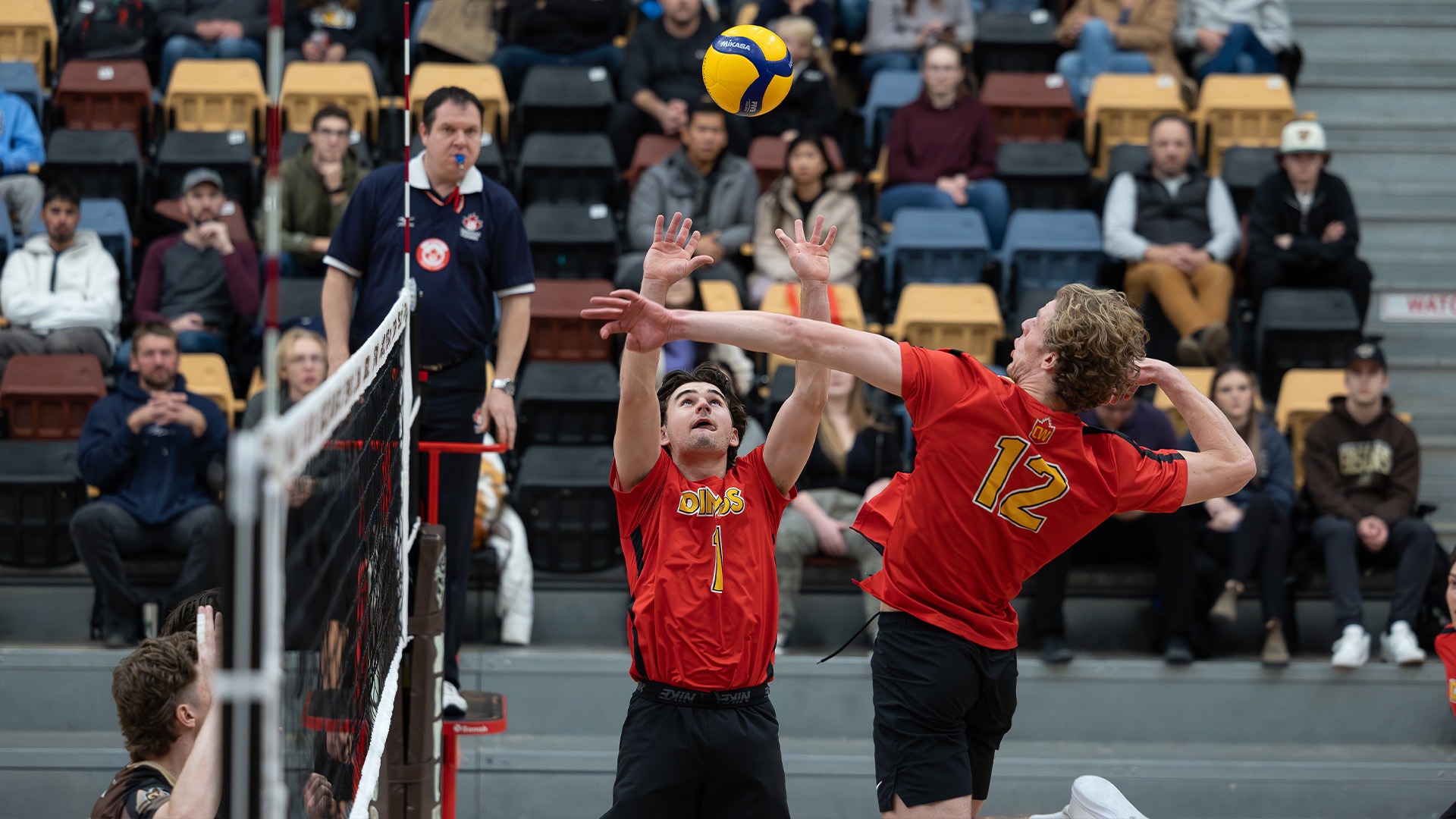 Another strong performance sends Dinos past Bisons - University of ...