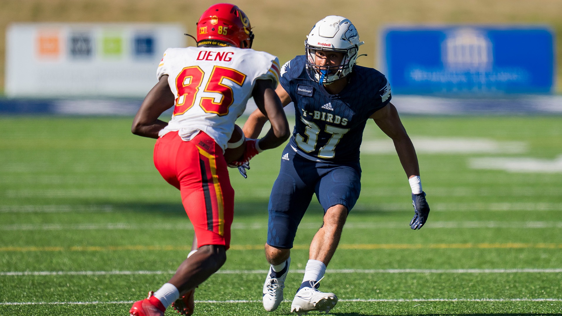 Deng's big performance spoiled out west - University of Calgary Athletics