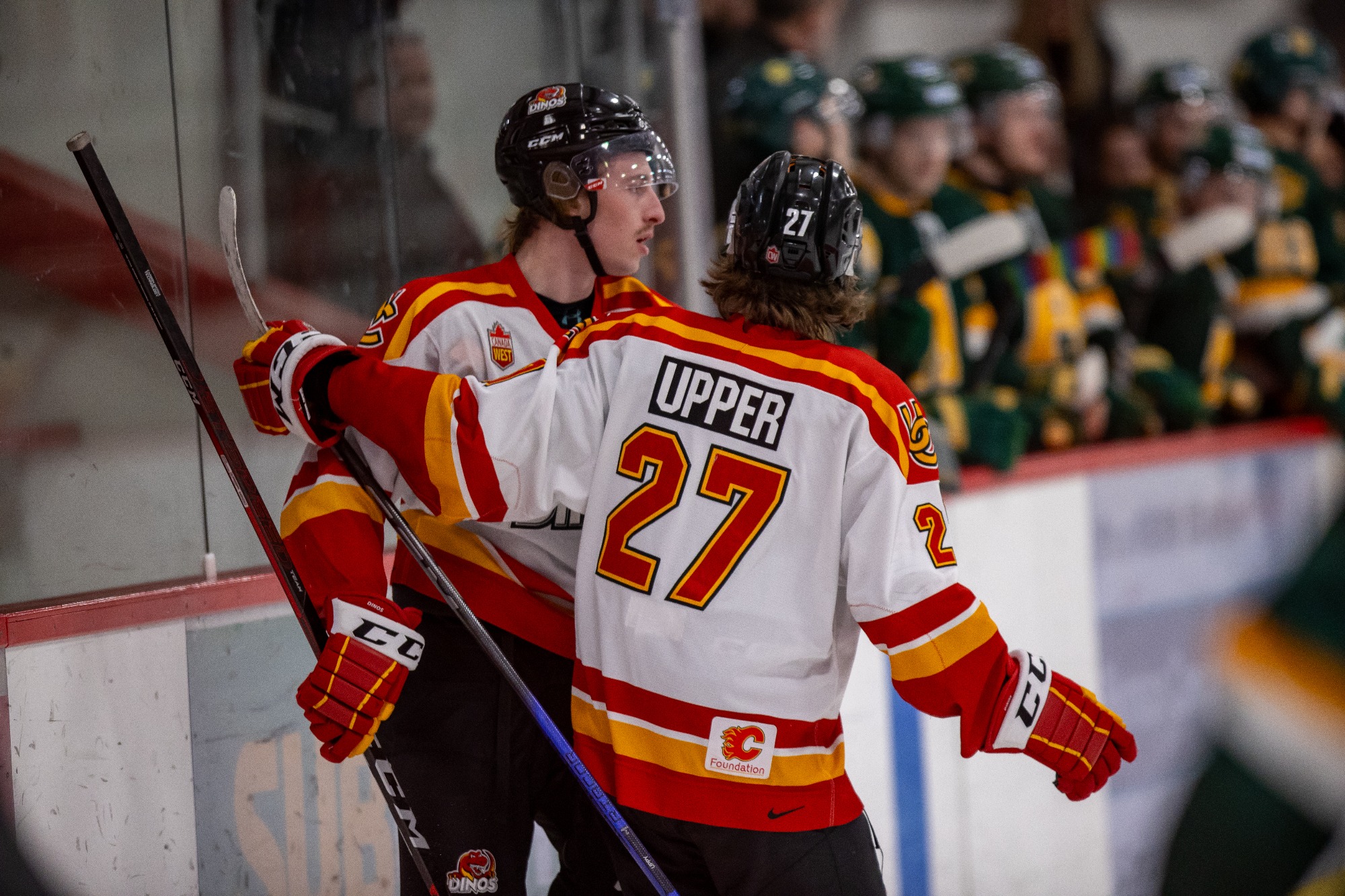 Dinos score five in the second to top Golden Bears - University of ...