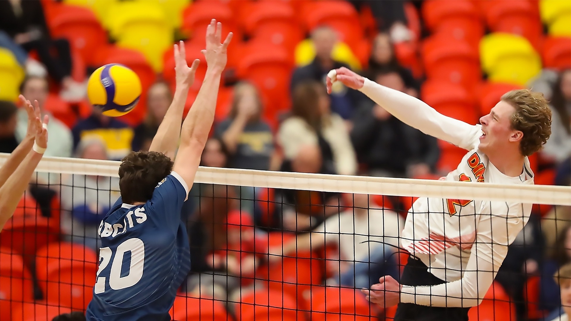 Jackson Meier - 2024 - Men's Volleyball - University of Calgary Athletics