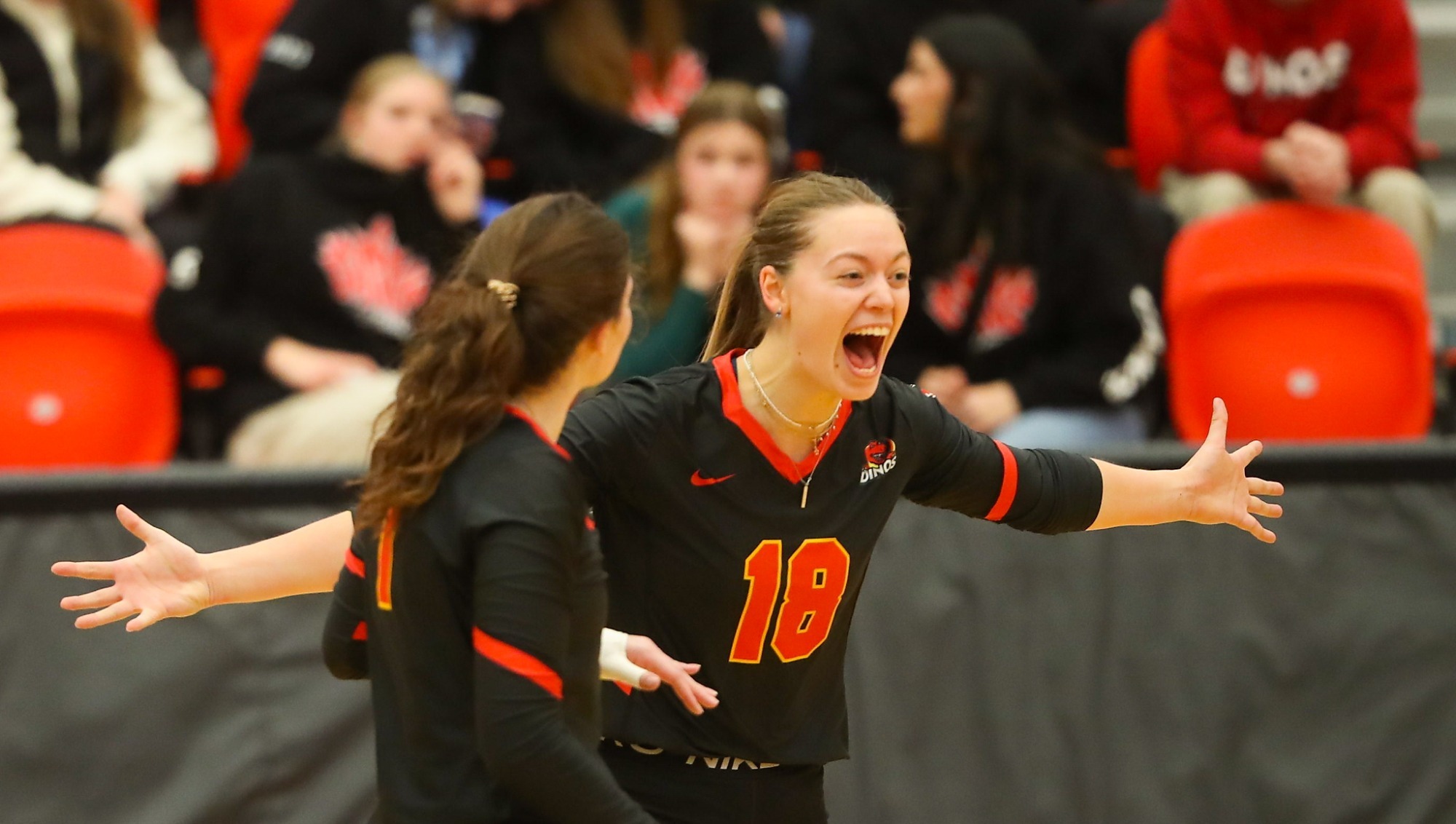 Dinos finish off sweep of Bobcats - University of Calgary Athletics