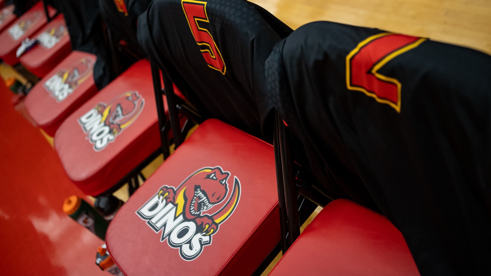 Dinos return to Langley for CW Final Four - University of Calgary Athletics