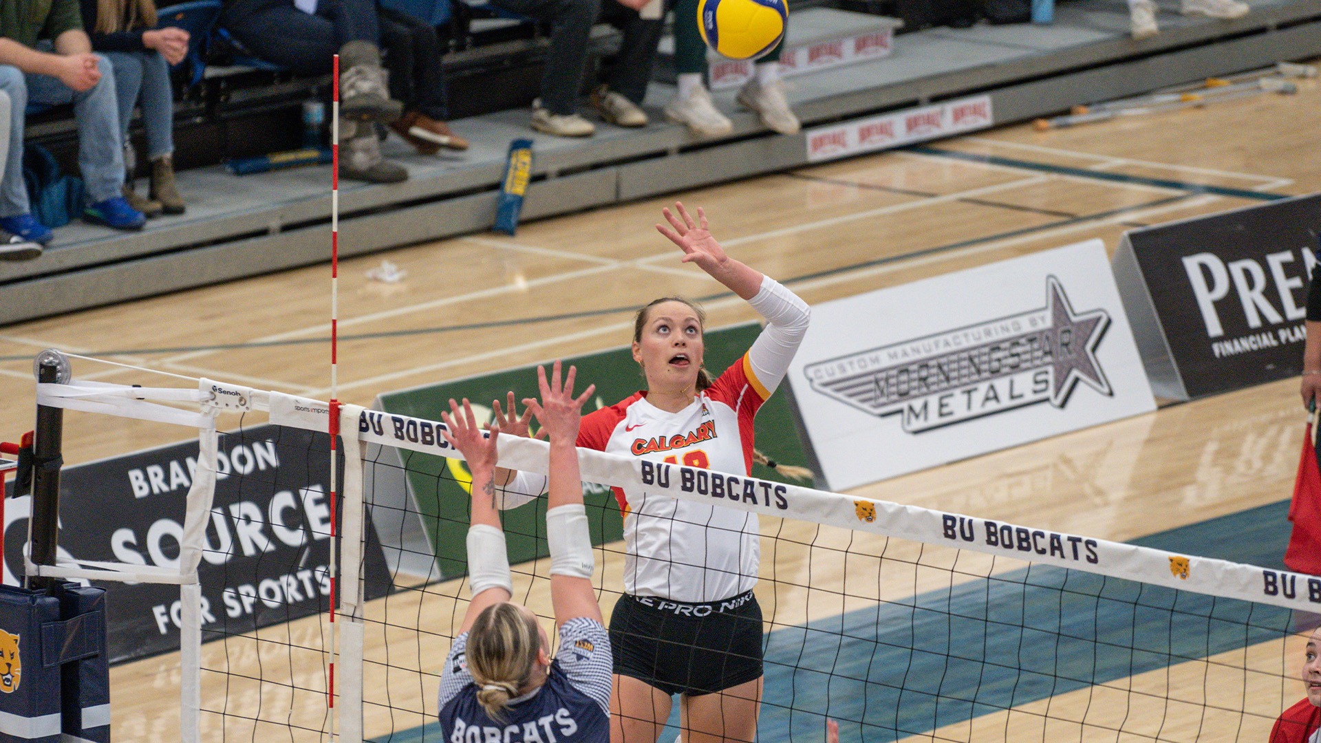 2024-25 Women's Volleyball Schedule - University of Calgary Athletics