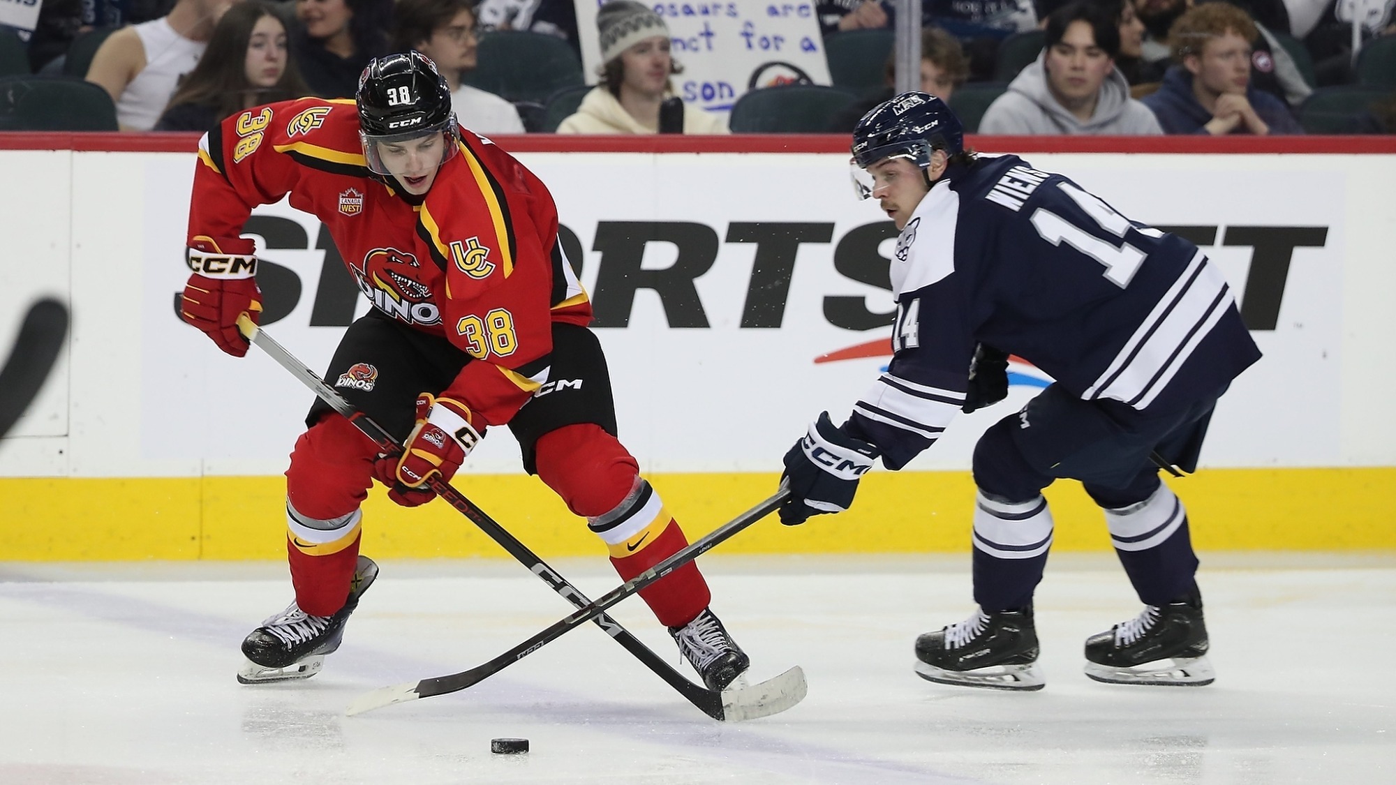 UCalgary to host NBA’s Toronto Raptors training camp - University of ...