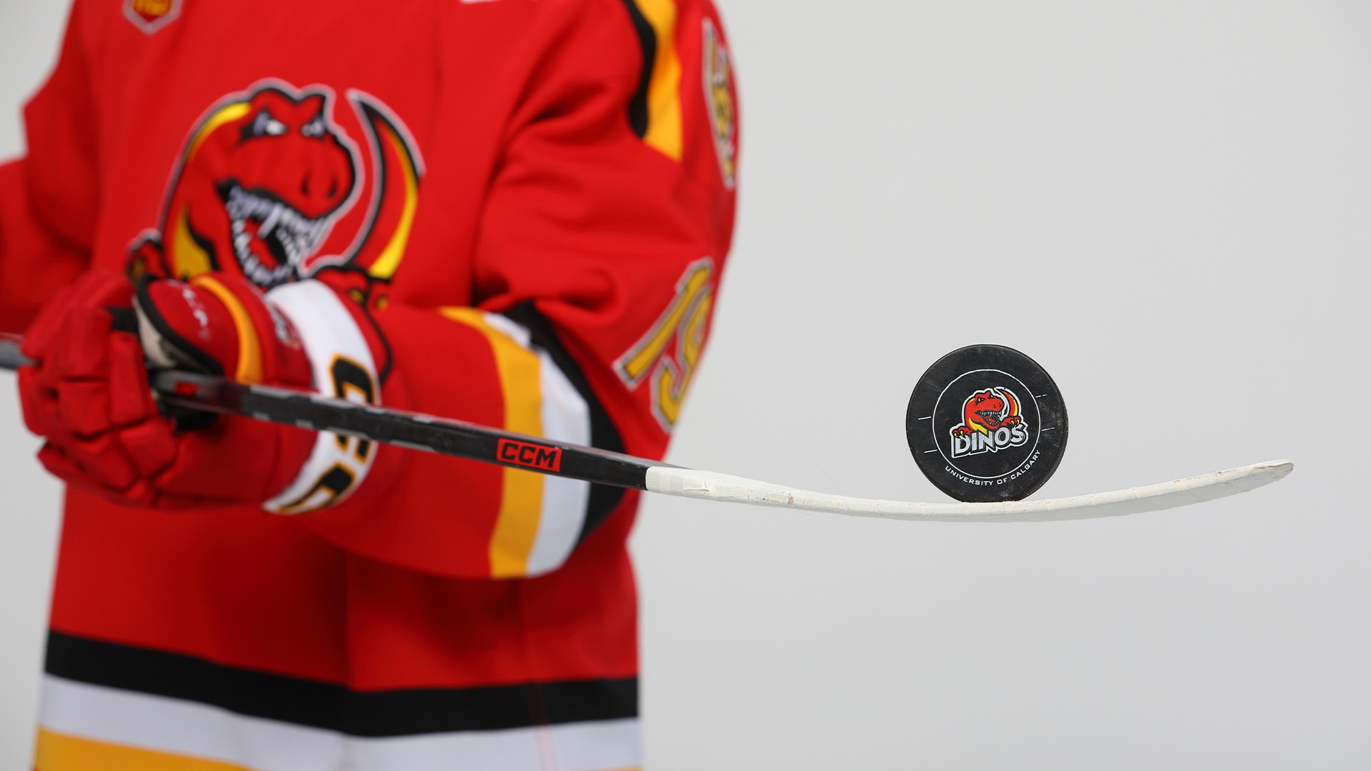 UCalgary to host NBA’s Toronto Raptors training camp - University of ...