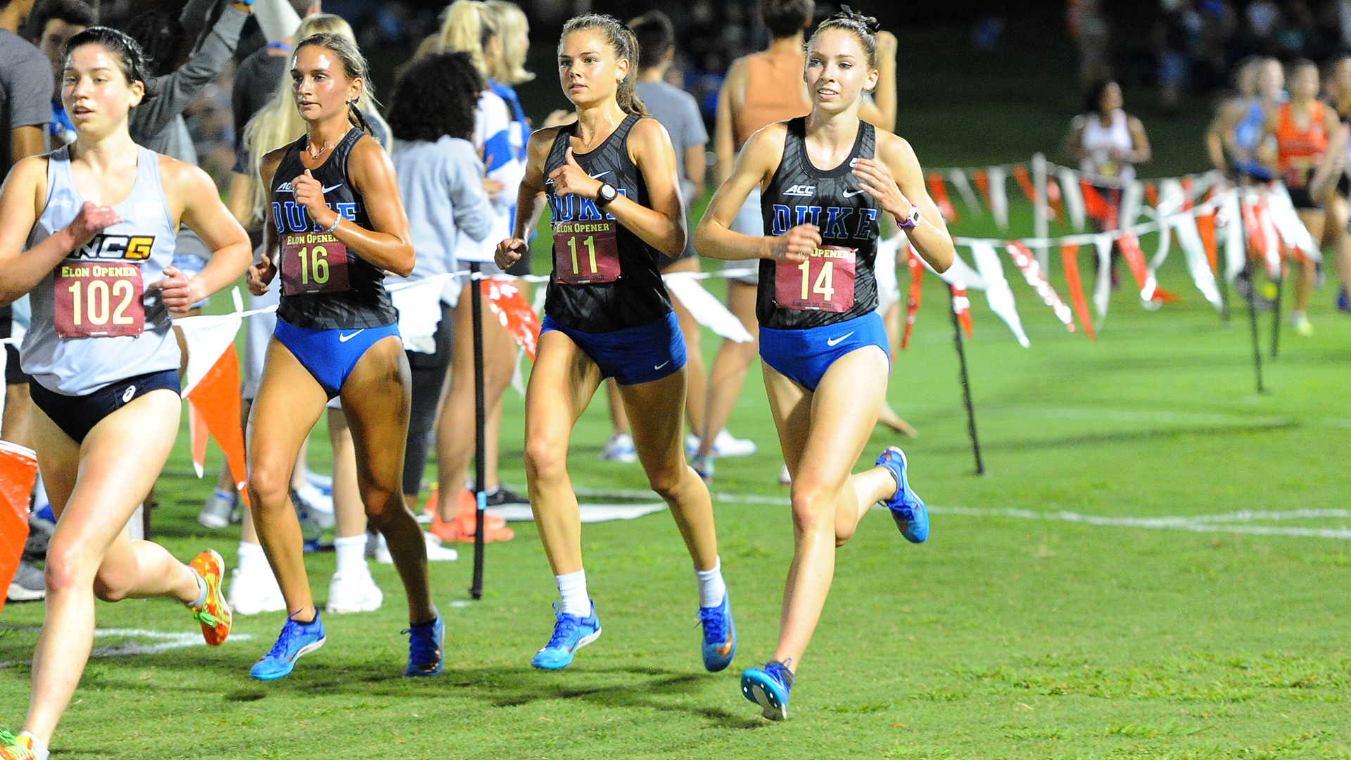 Lindsay Billings - 2019 - Cross Country - Duke University