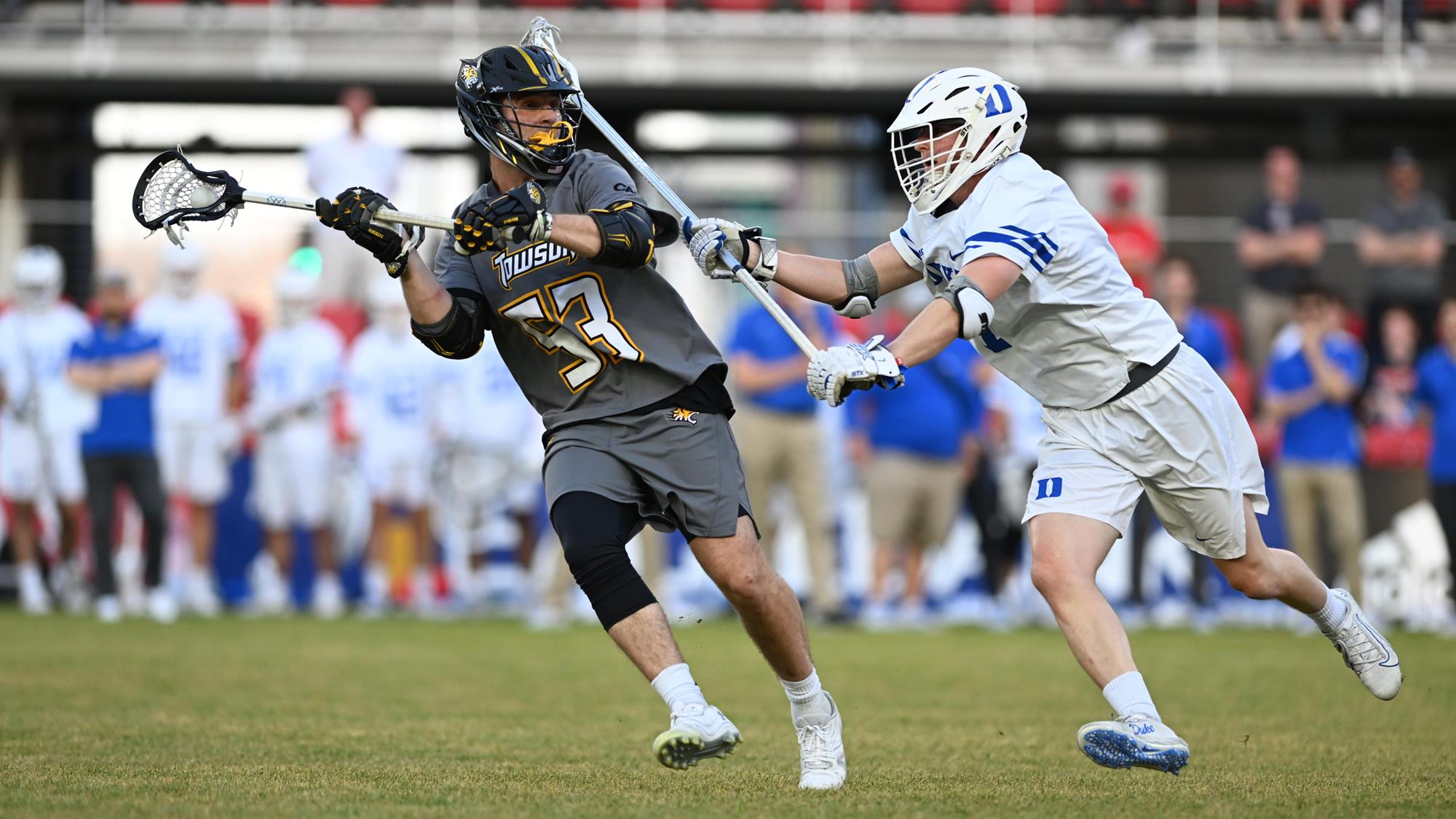 Will Frisoli - 2024 - Men's Lacrosse - Duke University