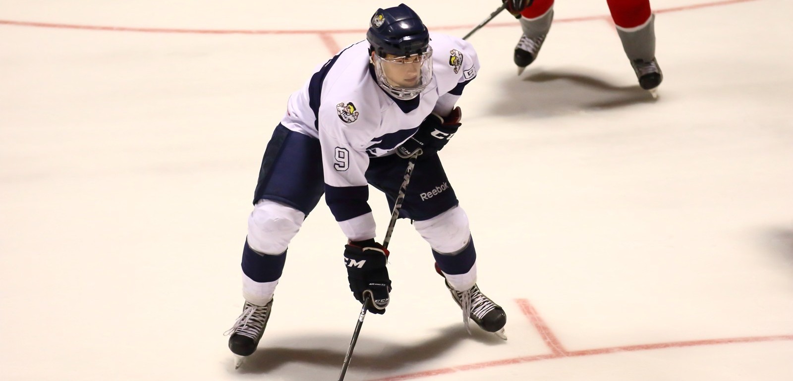 Zach McKown - Men's Ice Hockey - Lebanon Valley College Athletics