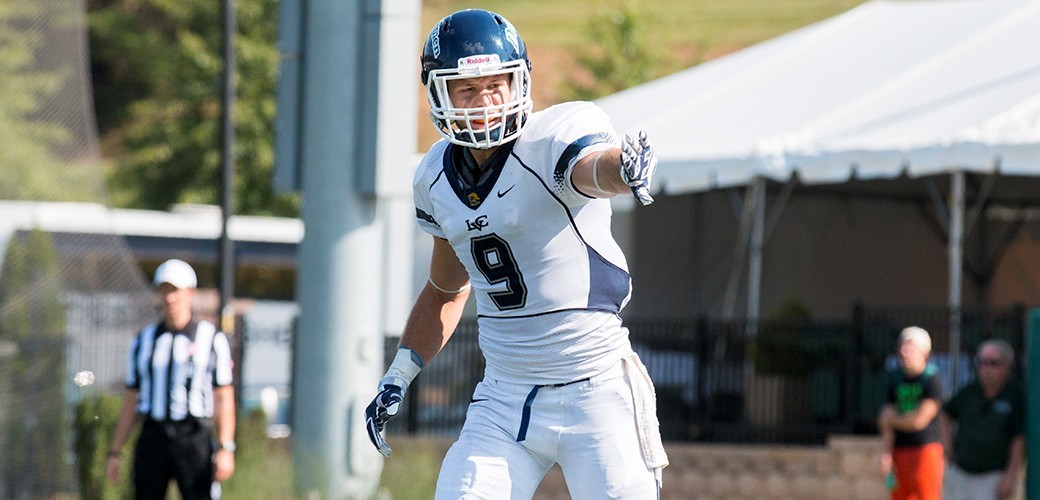Tyler George - Football - Lebanon Valley College Athletics