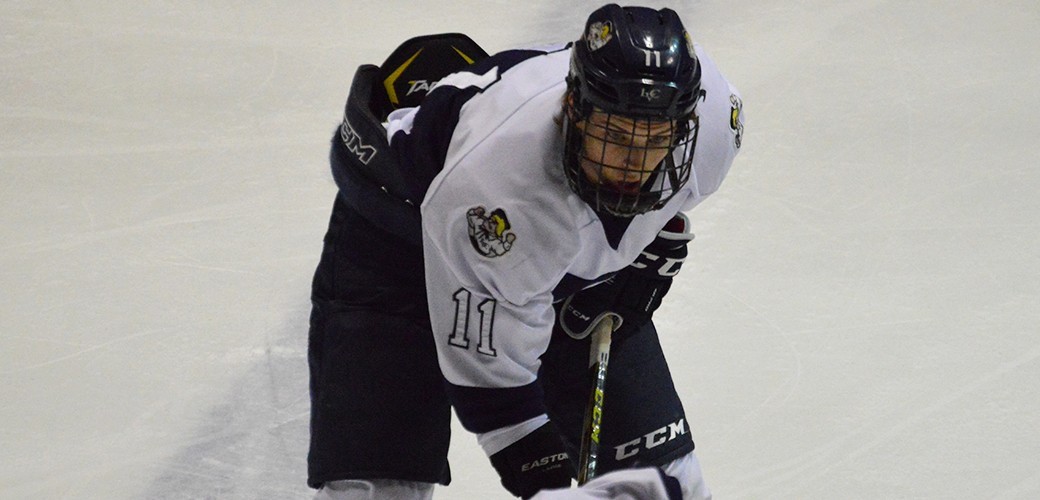 Bryan Hovanec - Men's Ice Hockey - Lebanon Valley College Athletics