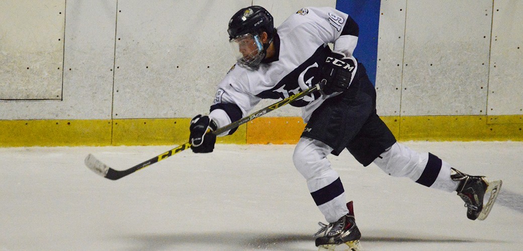 Mike Straub - Men's Ice Hockey - Lebanon Valley College Athletics