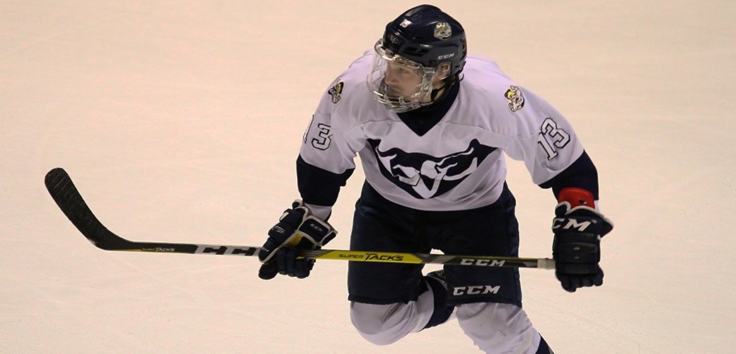 Cole Hepler - Men's Ice Hockey - Lebanon Valley College Athletics