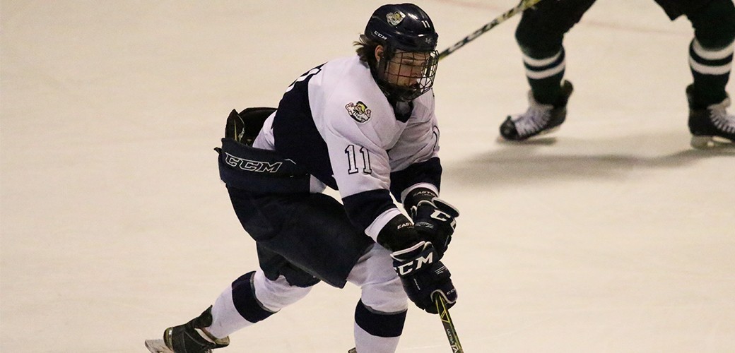Bryan Hovanec - Men's Ice Hockey - Lebanon Valley College Athletics