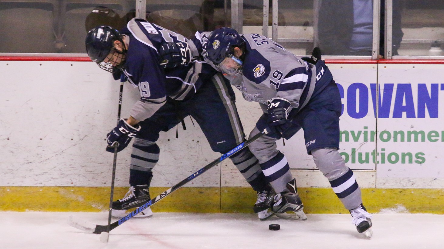 Mike Straub - Men's Ice Hockey - Lebanon Valley College Athletics