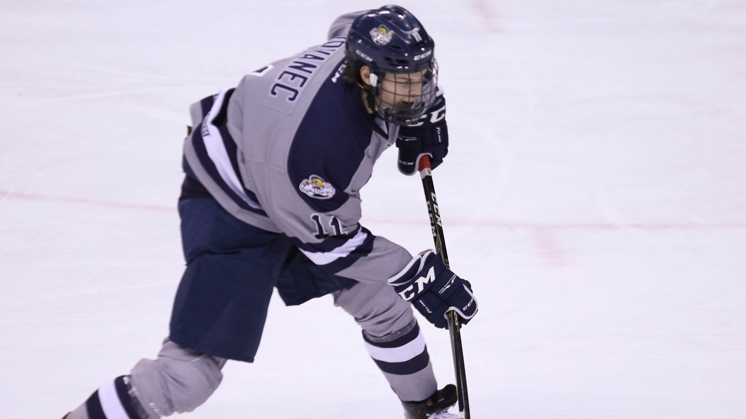 Bryan Hovanec - Men's Ice Hockey - Lebanon Valley College Athletics