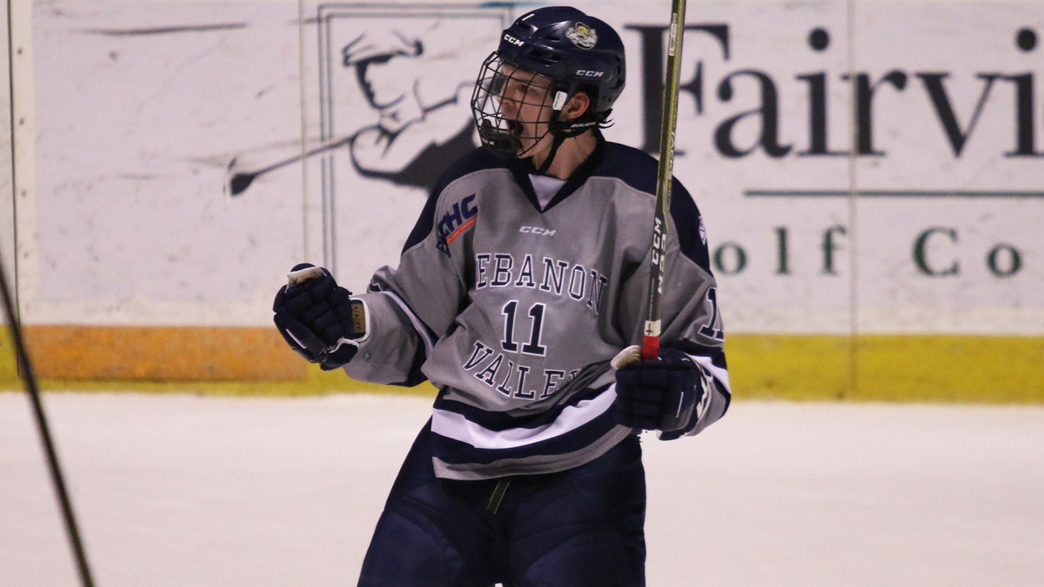 Bryan Hovanec - Men's Ice Hockey - Lebanon Valley College Athletics