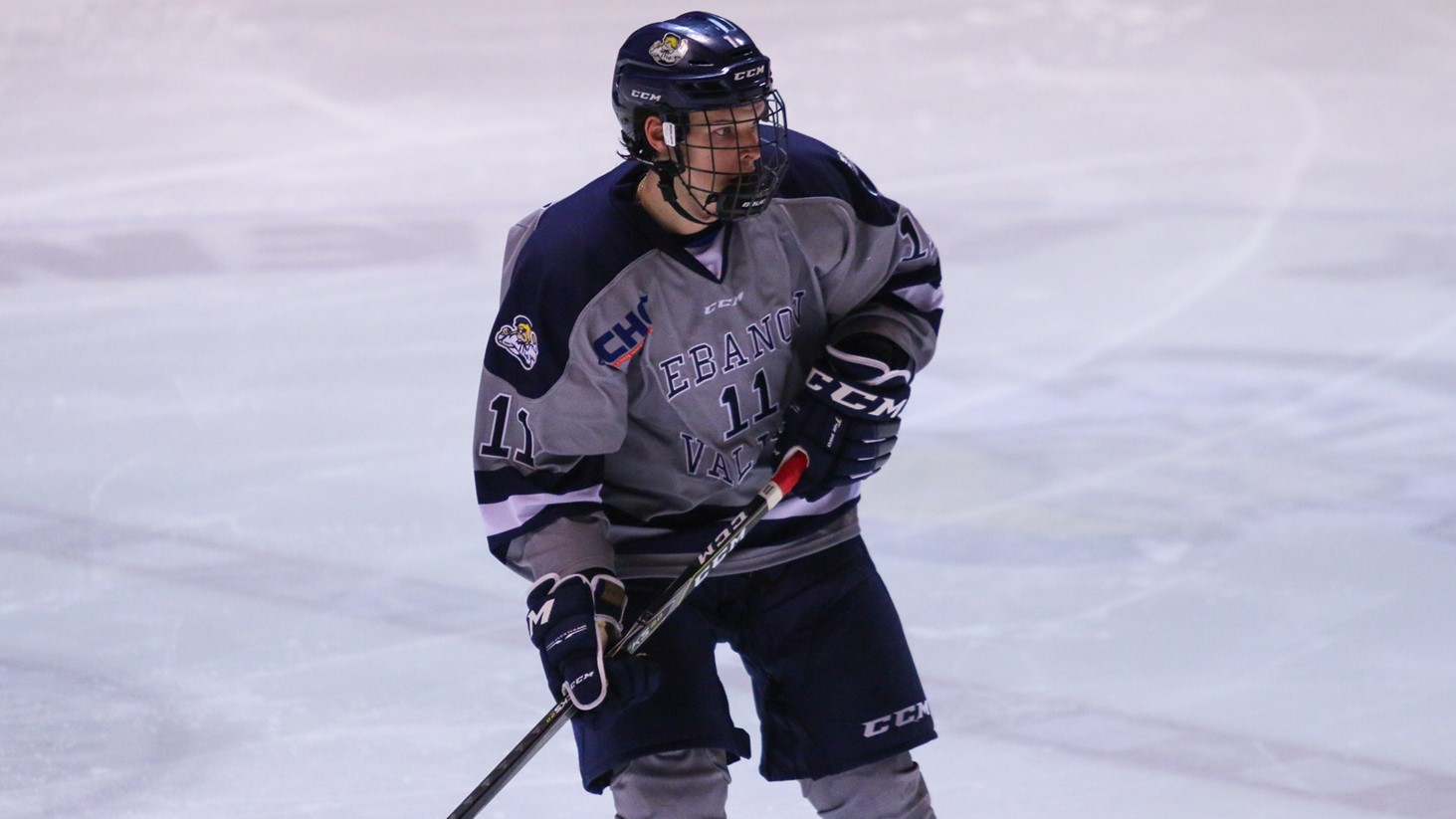 Bryan Hovanec - Men's Ice Hockey - Lebanon Valley College Athletics