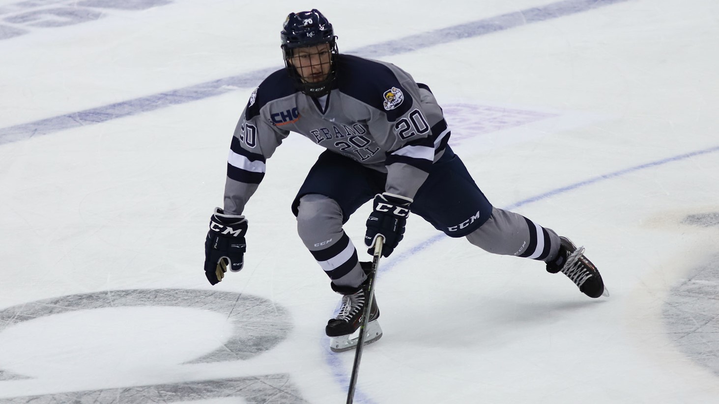 Justin Hall - Men's Ice Hockey - Lebanon Valley College Athletics