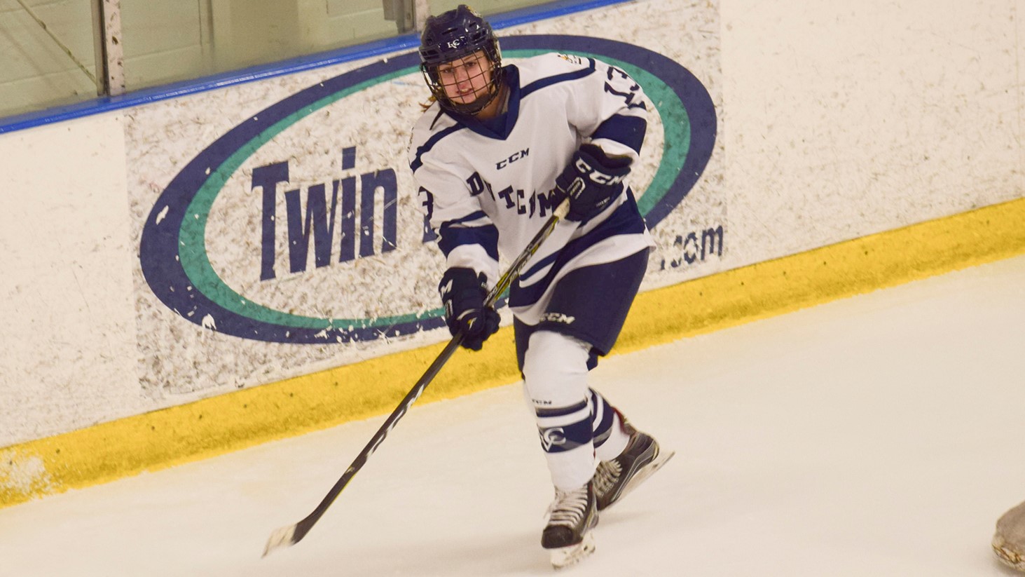 Taylor Borrelli - Women's Ice Hockey - Lebanon Valley College Athletics