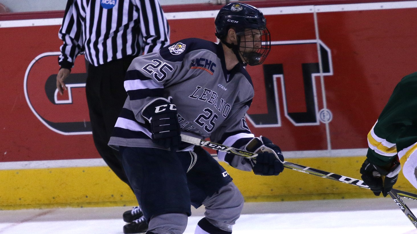 Brennan Thompson - Men's Ice Hockey - Lebanon Valley College Athletics