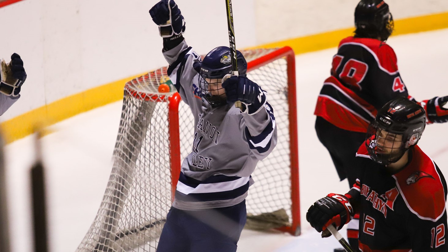Bryan Hovanec - Men's Ice Hockey - Lebanon Valley College Athletics