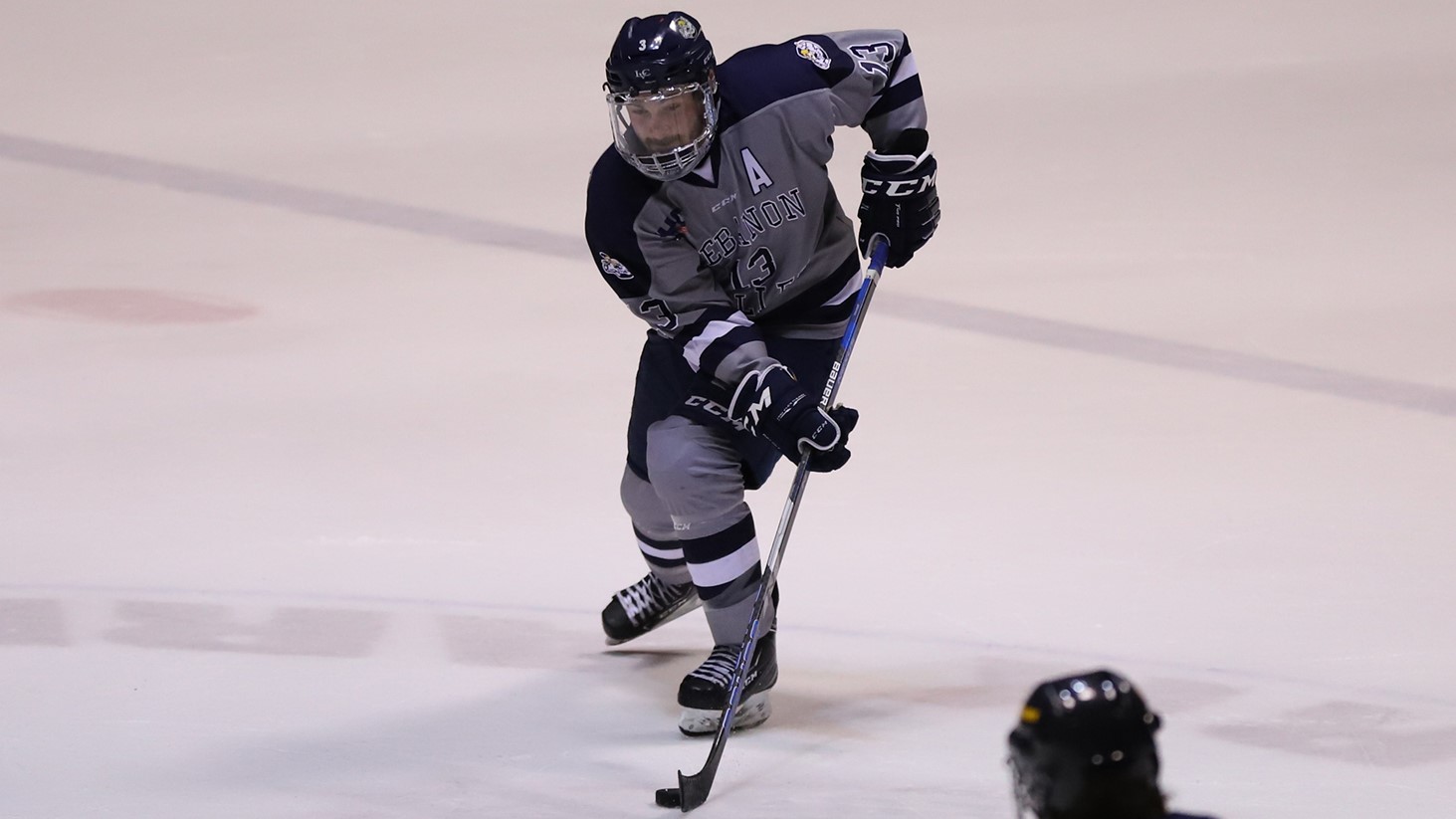 Cole Hepler - Men's Ice Hockey - Lebanon Valley College Athletics