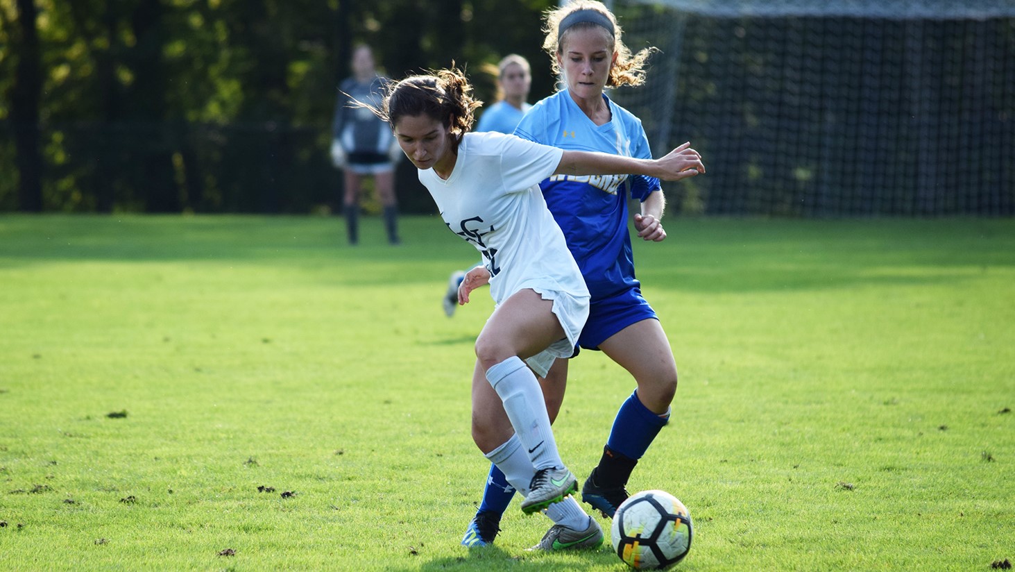 Maya Cohen - Women's Soccer - Lebanon Valley College Athletics