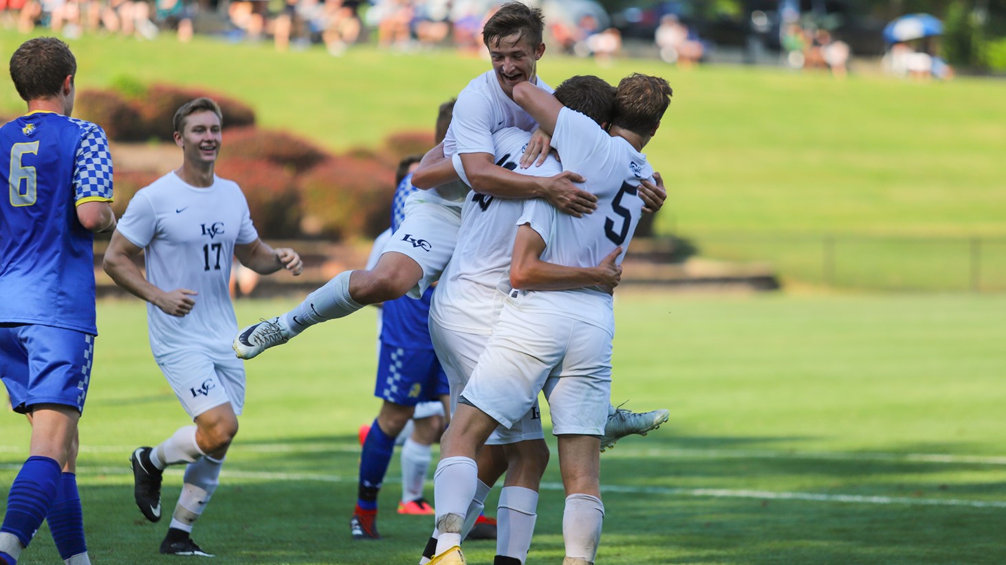 David Alcock - Men's Soccer - Lebanon Valley College Athletics