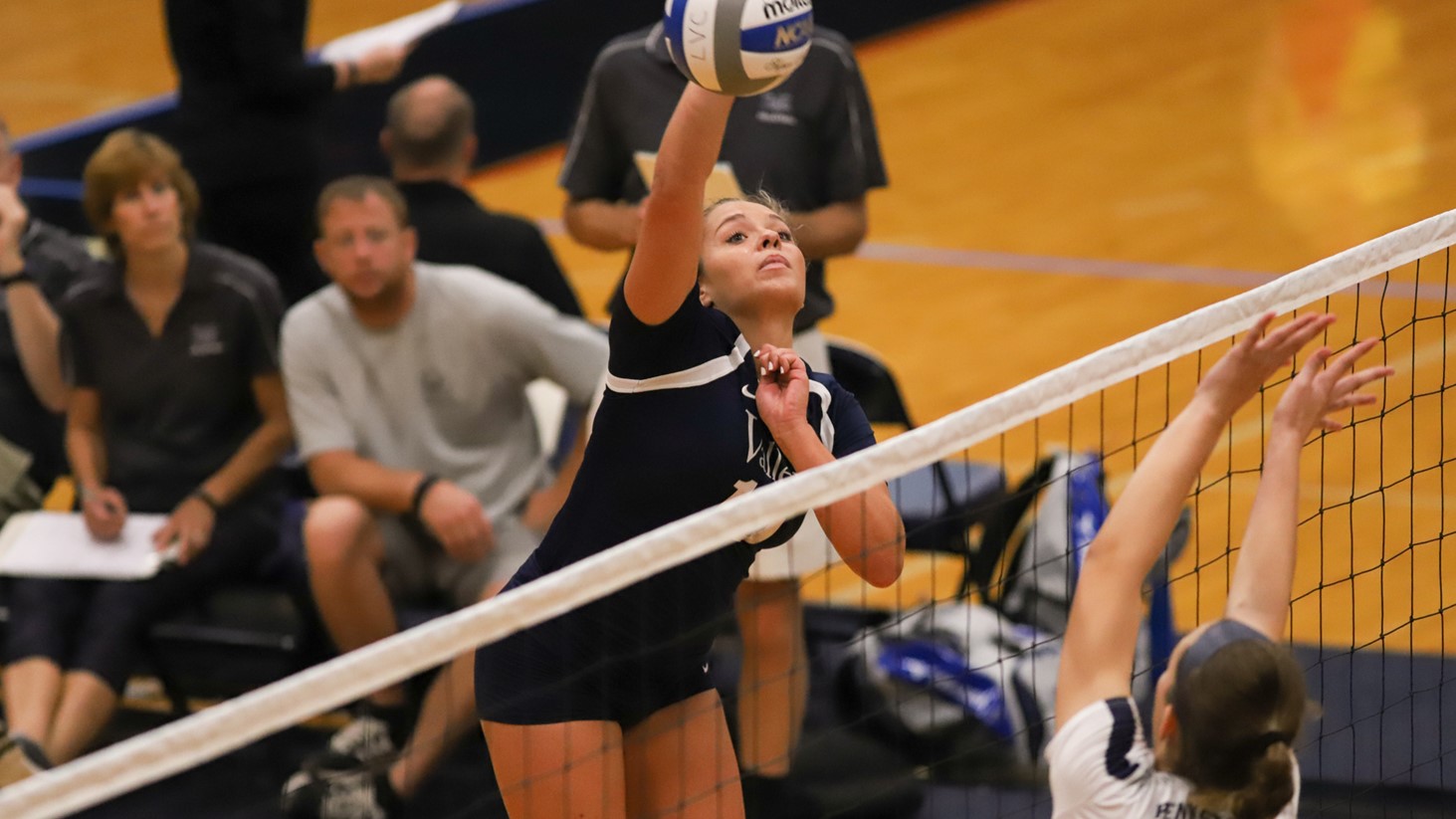 Amanda Sides - Volleyball - Lebanon Valley College Athletics