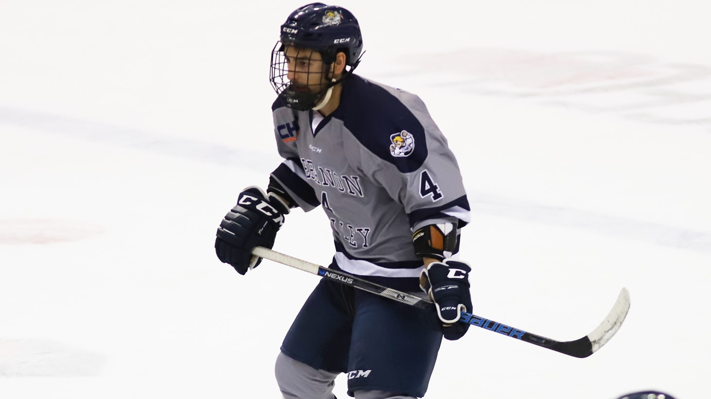 Brad Nolan - Men's Ice Hockey - Lebanon Valley College Athletics