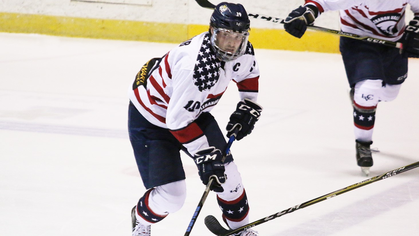 Mike Straub - Men's Ice Hockey - Lebanon Valley College Athletics