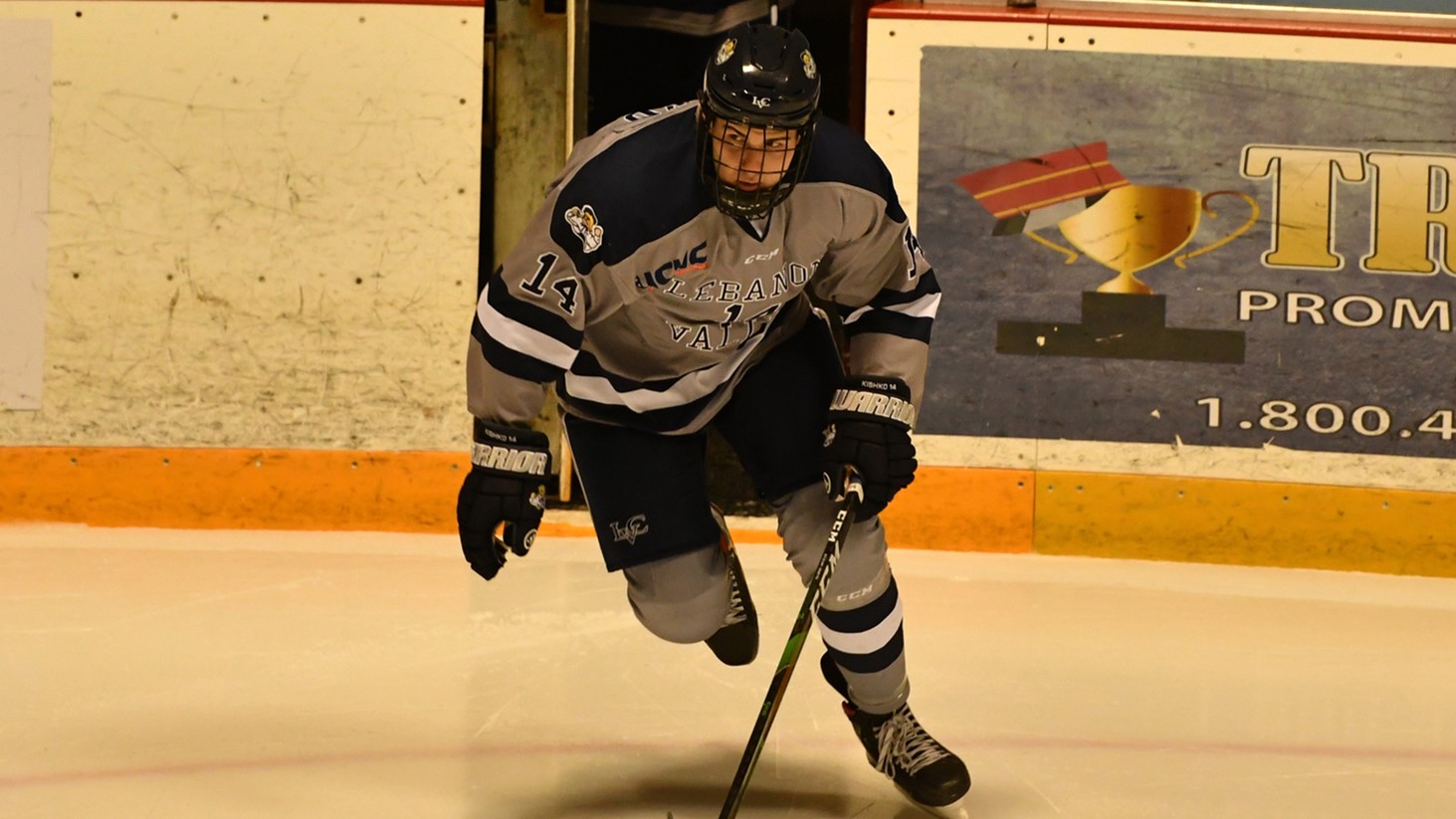 Mark Kishko - Men's Ice Hockey - Lebanon Valley College Athletics