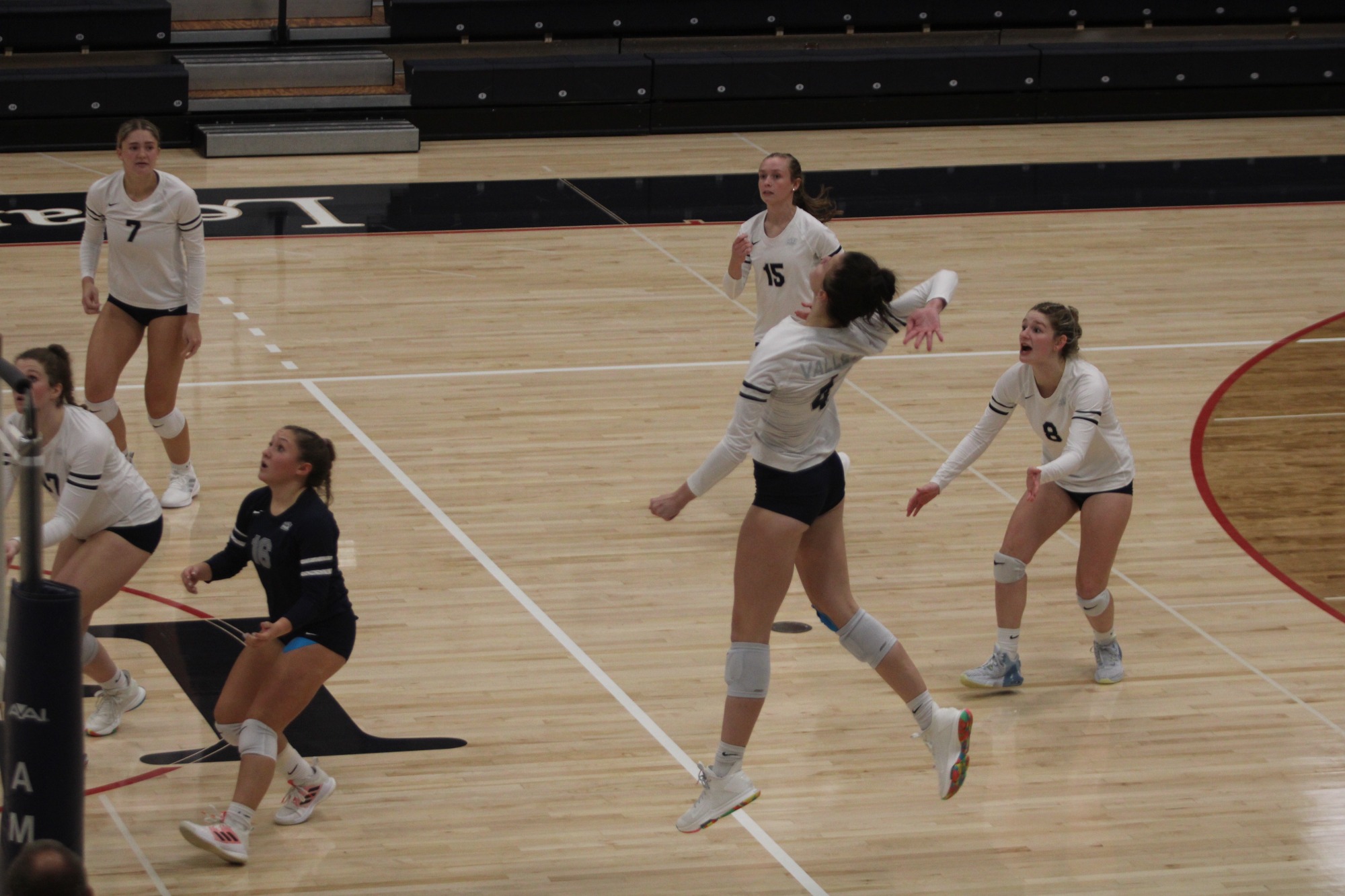 McInerney Leads Volleyball To Two Wins At Lycoming - Lebanon Valley ...
