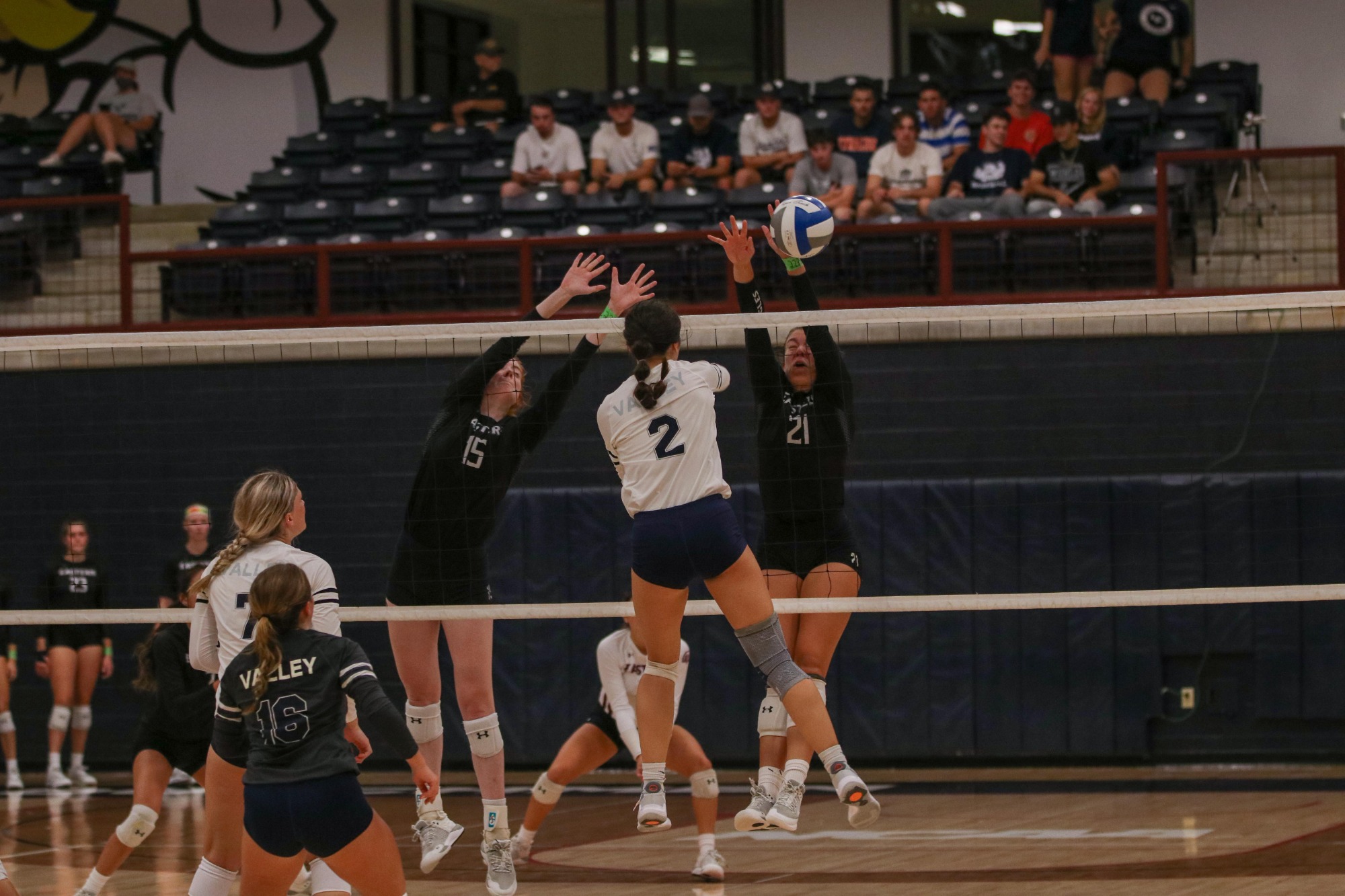 Robyn Stepler - Volleyball - Lebanon Valley College Athletics