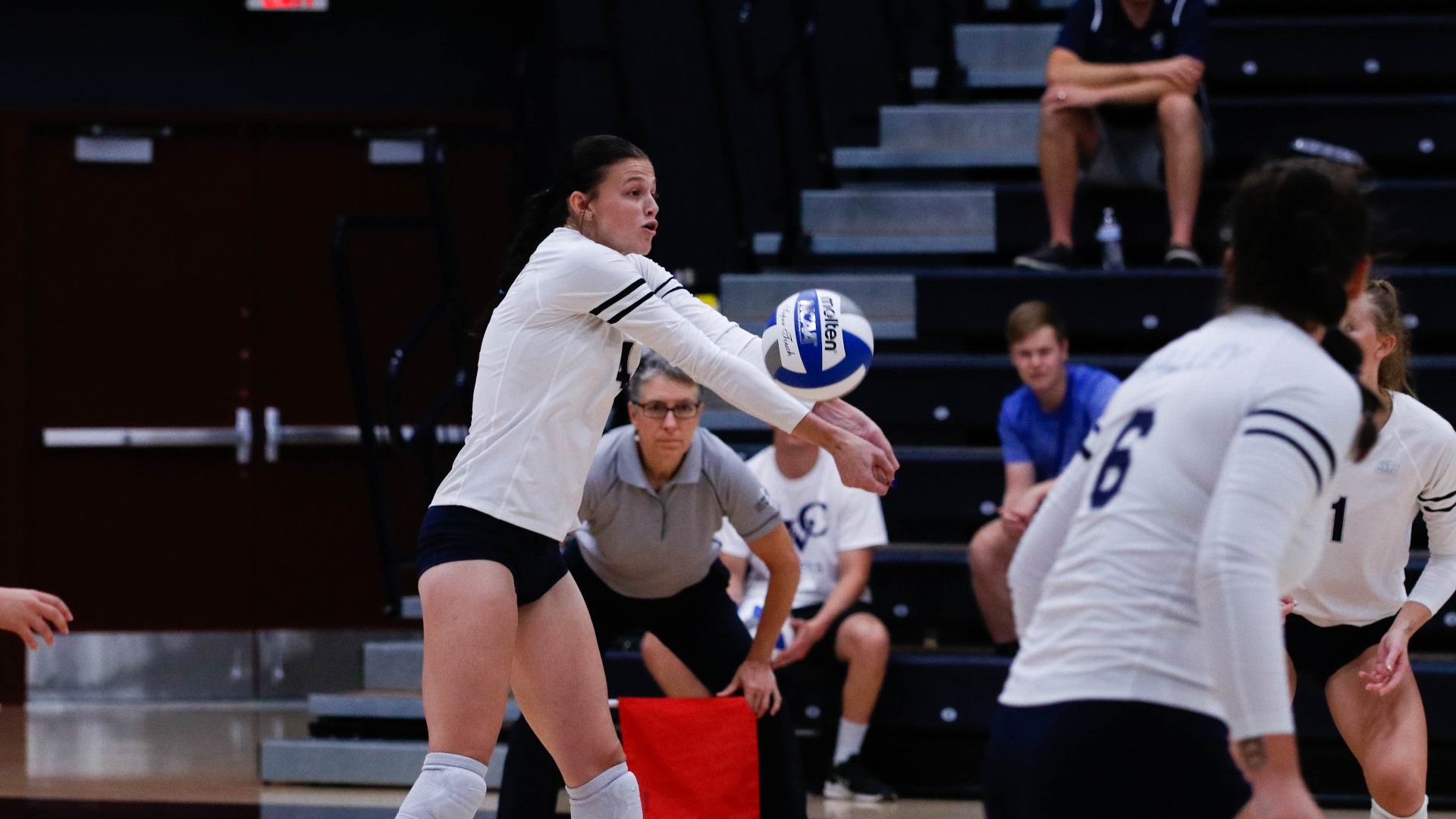 McInerney and Stepler Lead LVC Volleyball Against Stevens - Lebanon ...