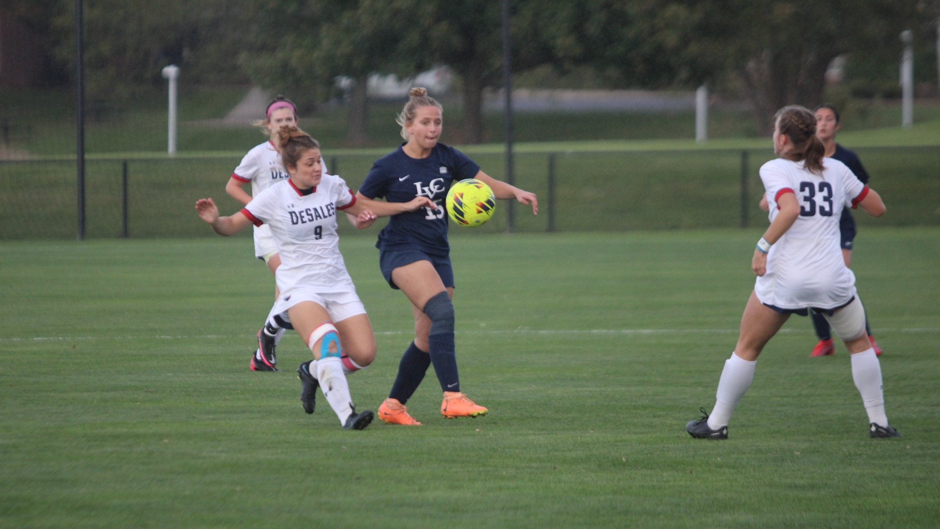 Emma Houck - Women's Soccer - Lebanon Valley College Athletics