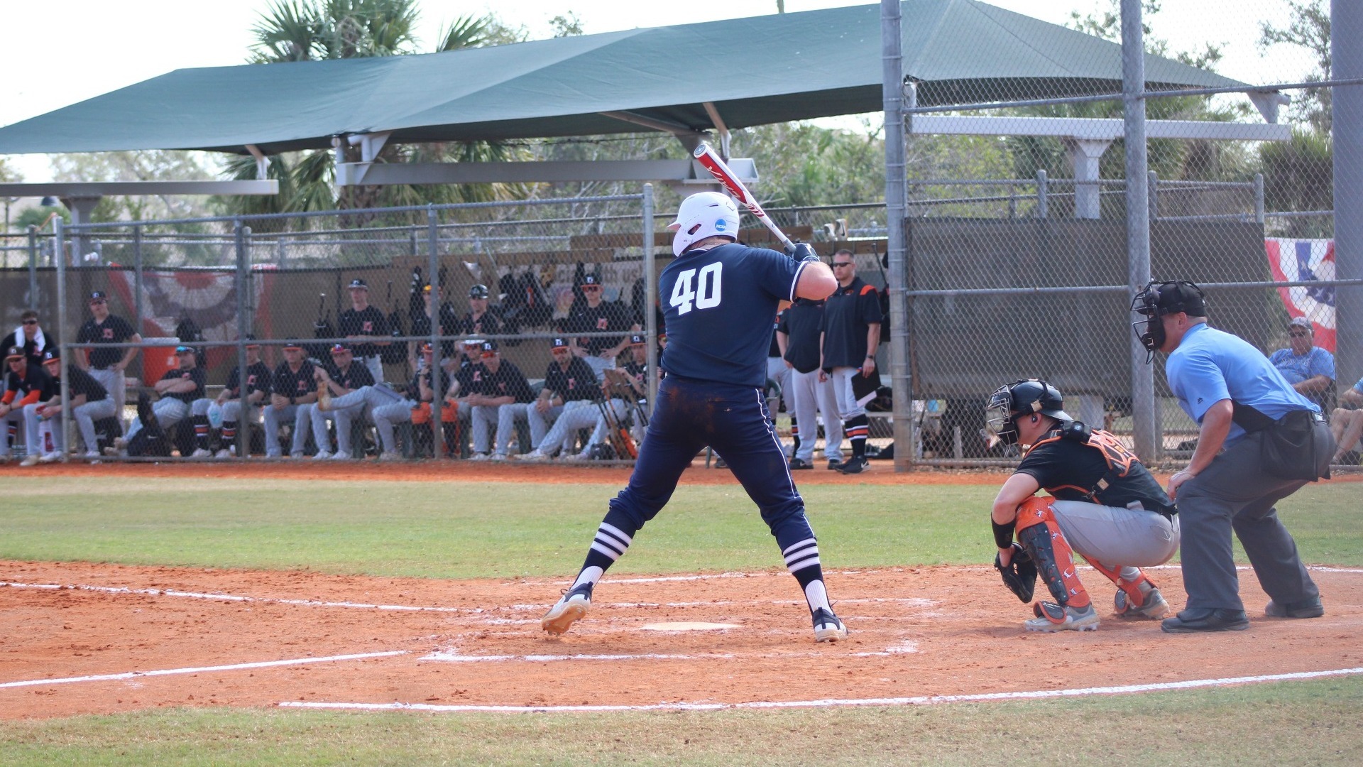 Shane Stossel - Baseball - Lebanon Valley College Athletics
